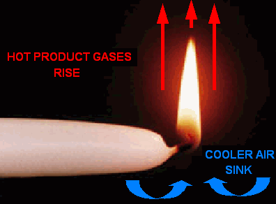 Microgravity Combustion